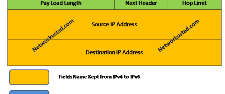ipv6 packet header Archives » NetworkUstad
