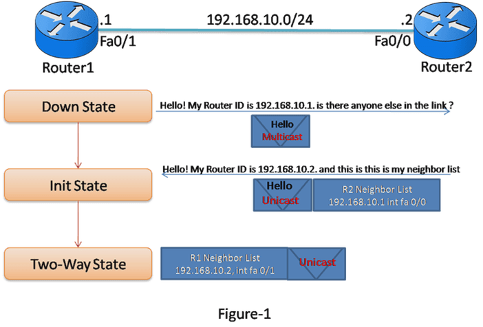 Introduction And Exclusive Explanation Of Ospf Operation Networkustad 